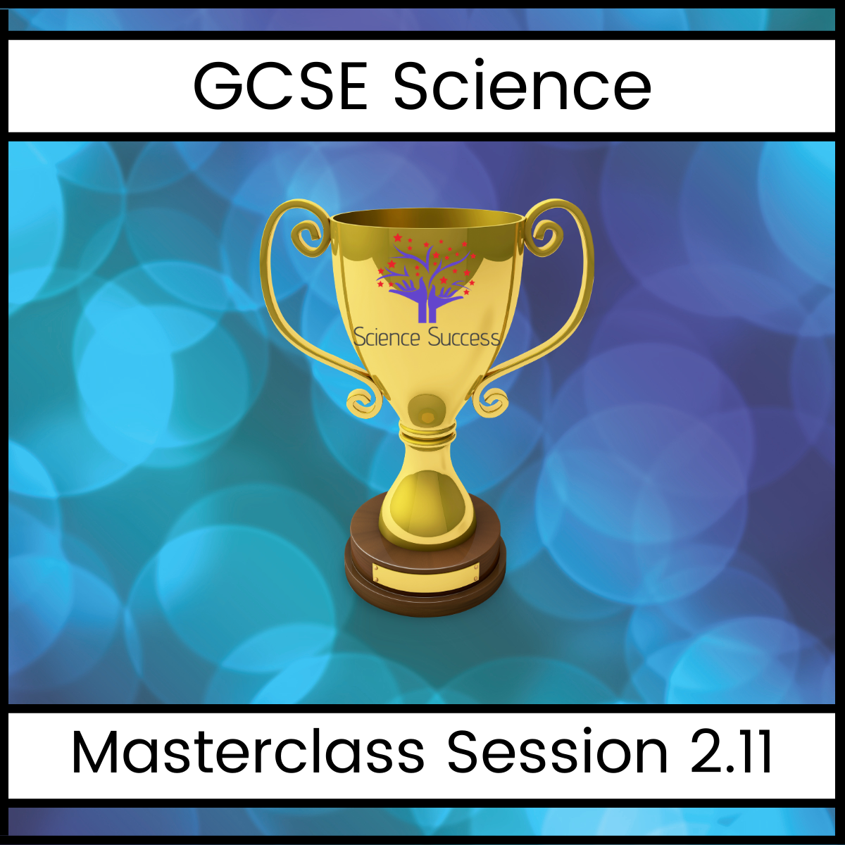 2.11 – Science Success