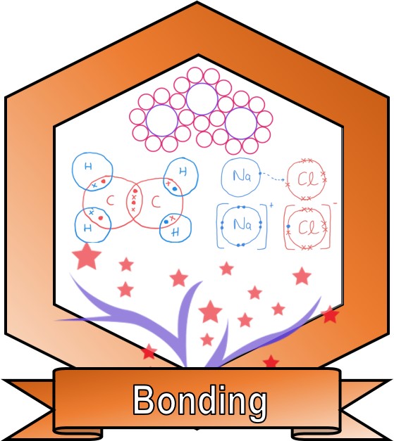 1.08 C bonding – Science Success