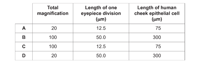 eyepiece graticule and a stage micrometer – Science Success