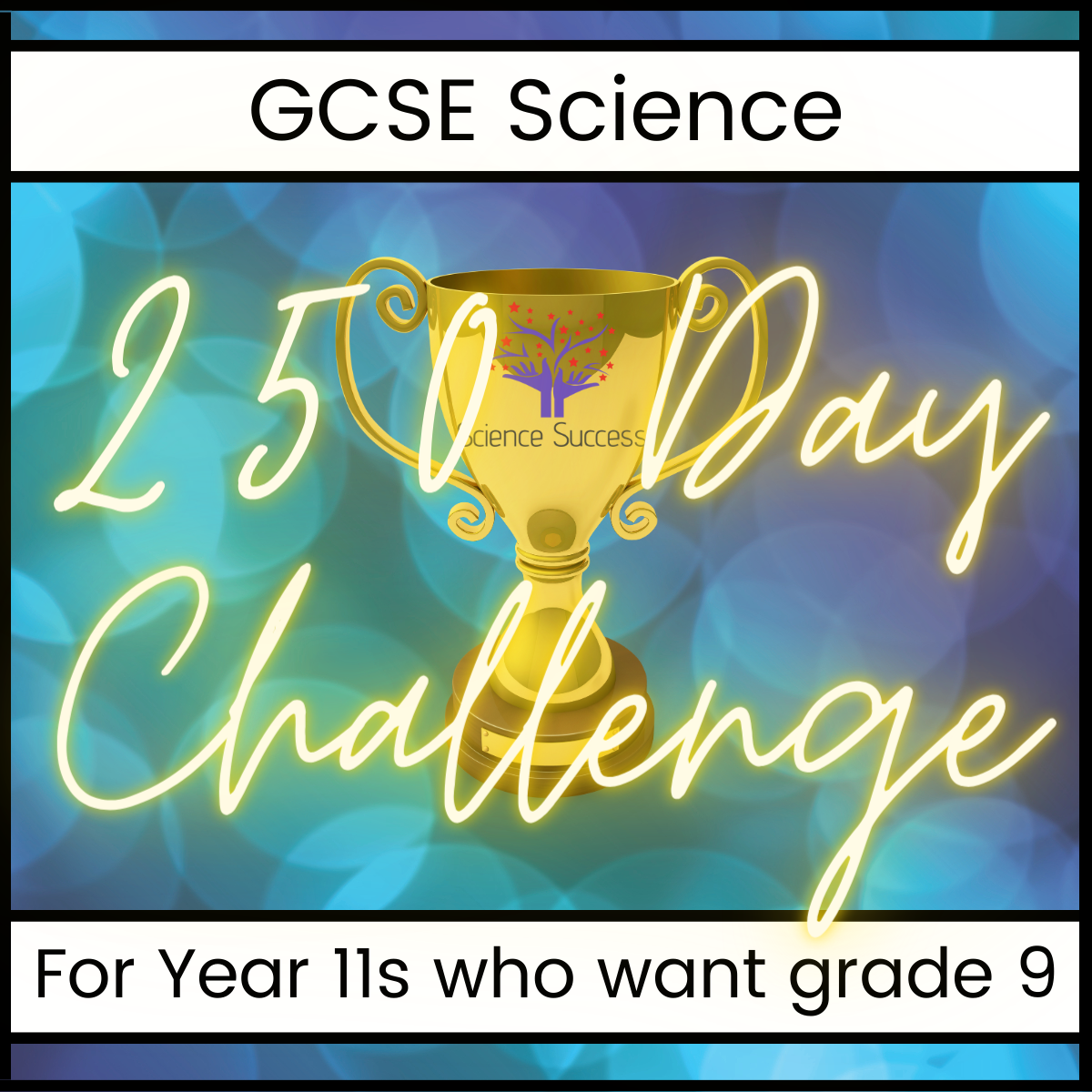 250-Day Challenge – Year 11 – Science Success