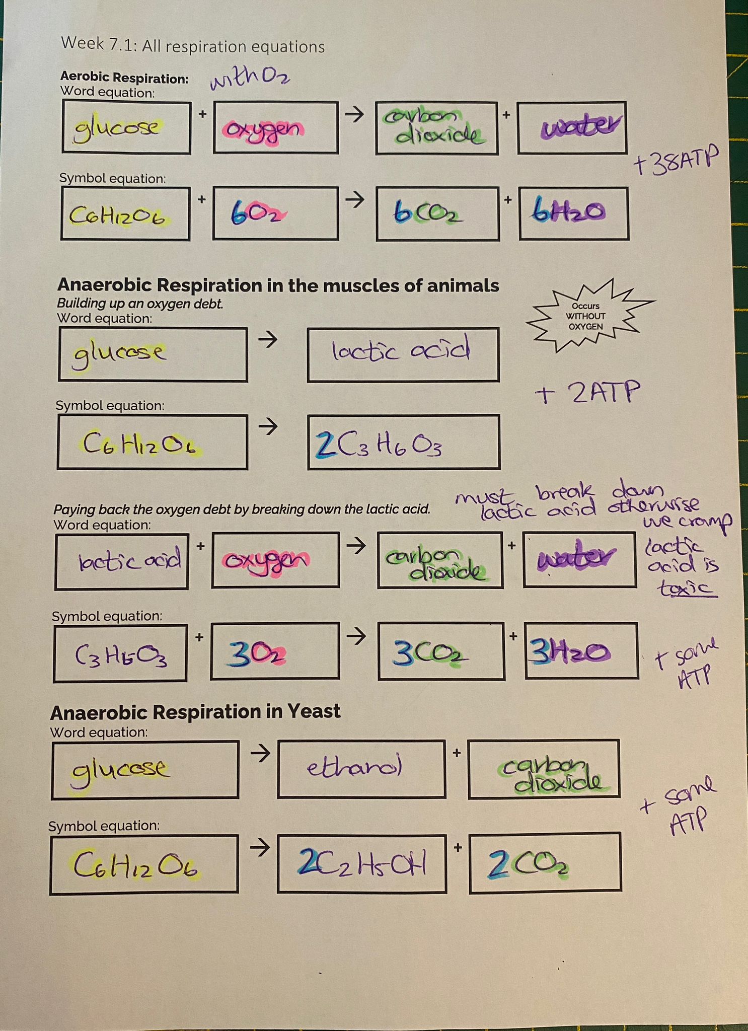 week 7.1 all the respiration equations – Science Success